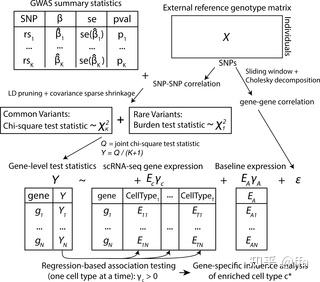 GWAS研究基本概念4——GWAS+scRNA工具列表 - 知乎