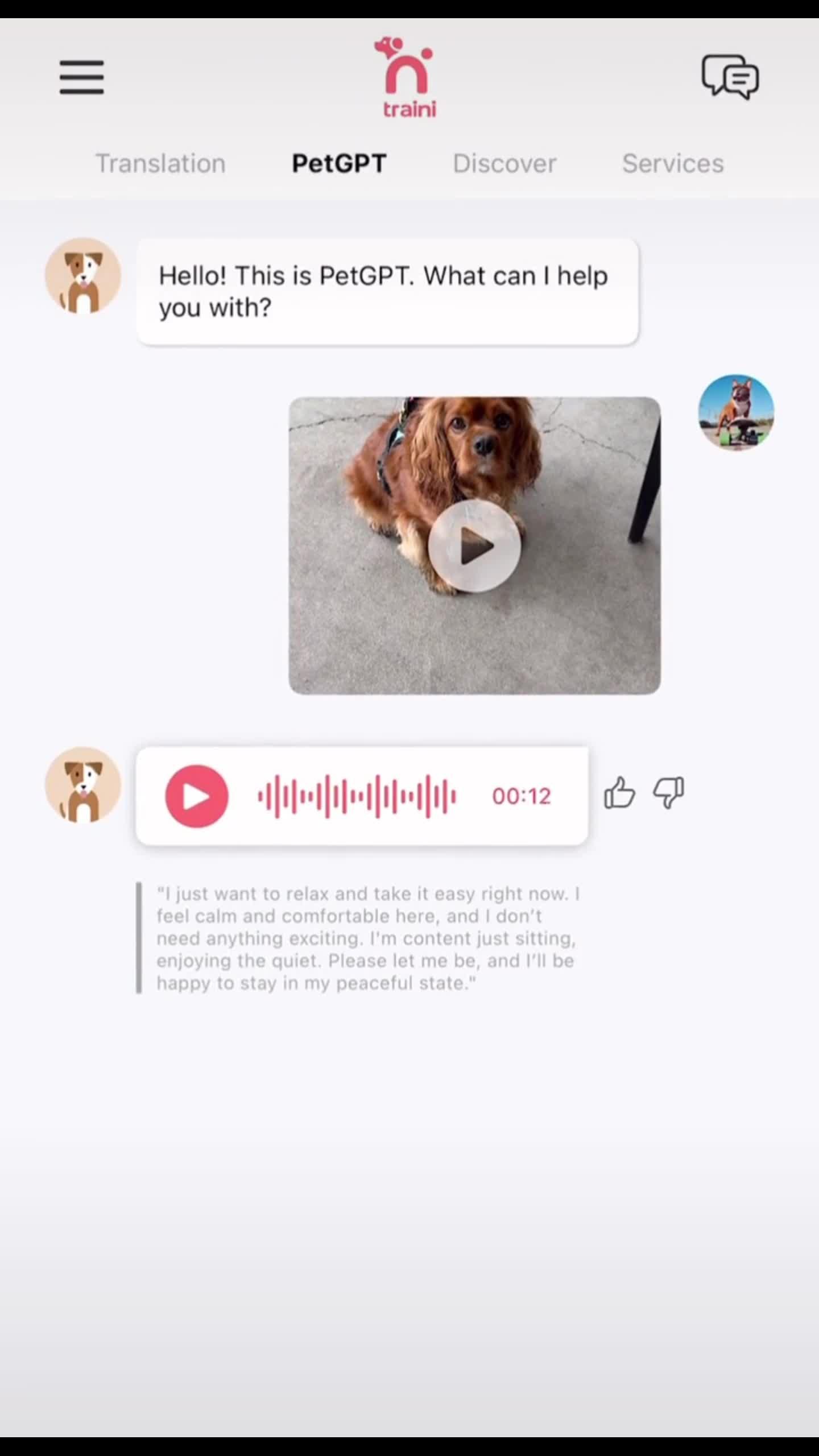 Traini 犬语翻译器爆火！百万铲屎官正在通过AI与自家毛孩子聊天 - 知乎
