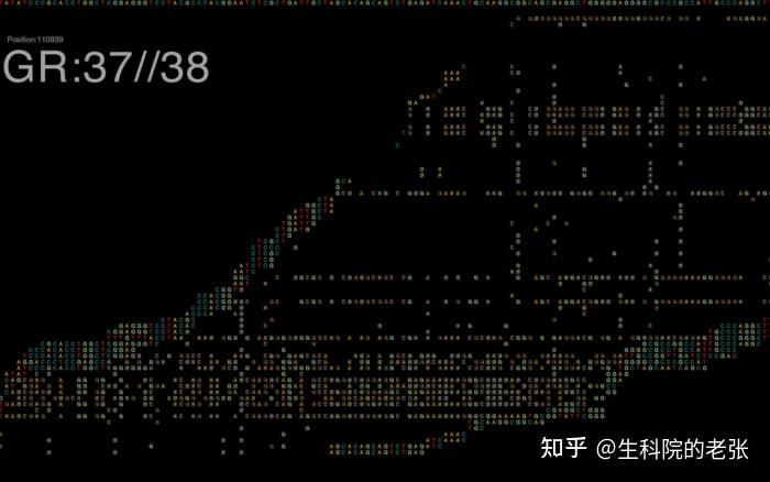 WGS(全基因组测序)/WES(全外显子组测序)/WGRS(全基因组重测序)分析与可视化教程 - 知乎