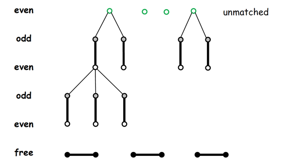 任意图最大匹配 — blossom algorithm - 知乎