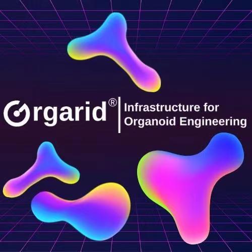 ORGARID介绍 - 知乎