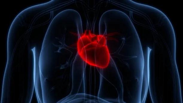 国际期刊推荐:CARDIOVASCULAR RESEARCH - 知乎