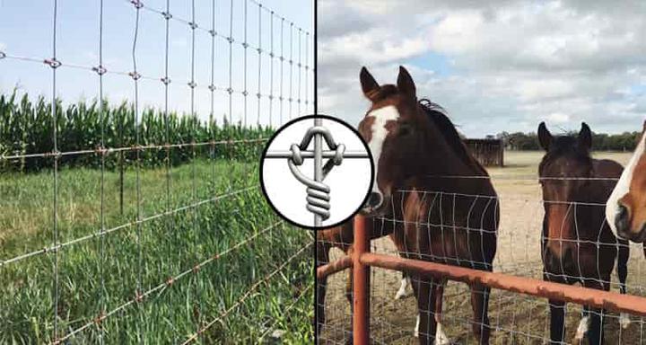 Why is the fixed knot fence so popular? - 知乎