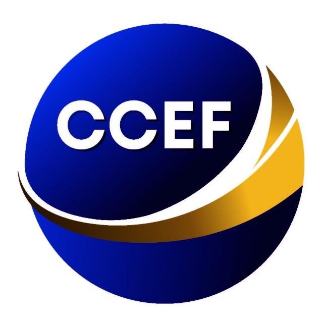 2022年中国广州跨境电商交易会 （秋季CCEF） - 知乎