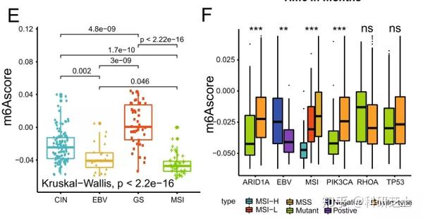 胃癌中m6A调节因子介导的甲基化修饰模式与肿瘤微环境浸润特征(IF:15.9) - 知乎