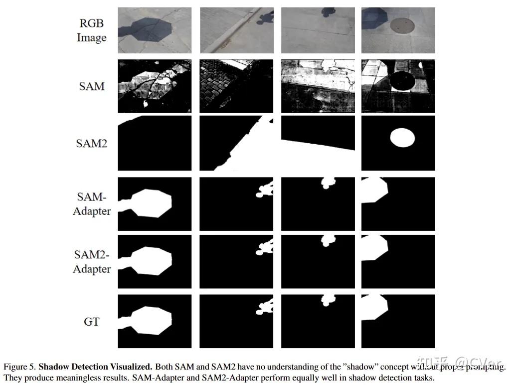 SAM 2无法分割一切？SAM2-Adapter：首次让SAM 2在下游任务适应调优！ - 知乎
