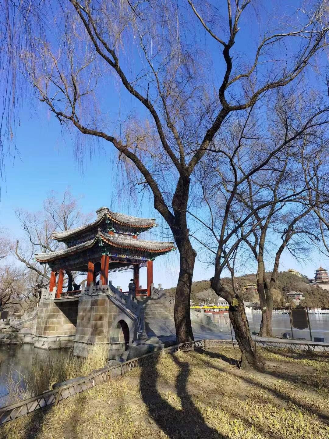 CATTI和MTI每日一译Day871 - 知乎