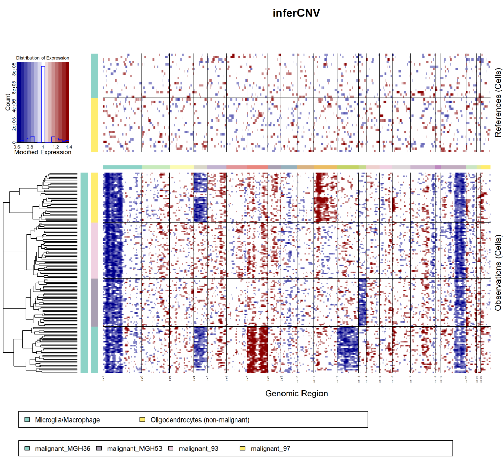 单细胞分析实录(11): inferCNV的基本用法 - 知乎