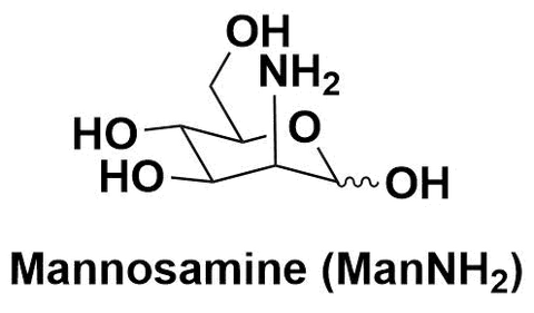 cas：14307-02-9|Mannosamine (ManNH2)|D-甘露糖胺|D-Mannosamine - 知乎