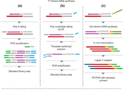 干货|一篇文章带你了解用于转录组分析的RNA-seq方法 - 知乎