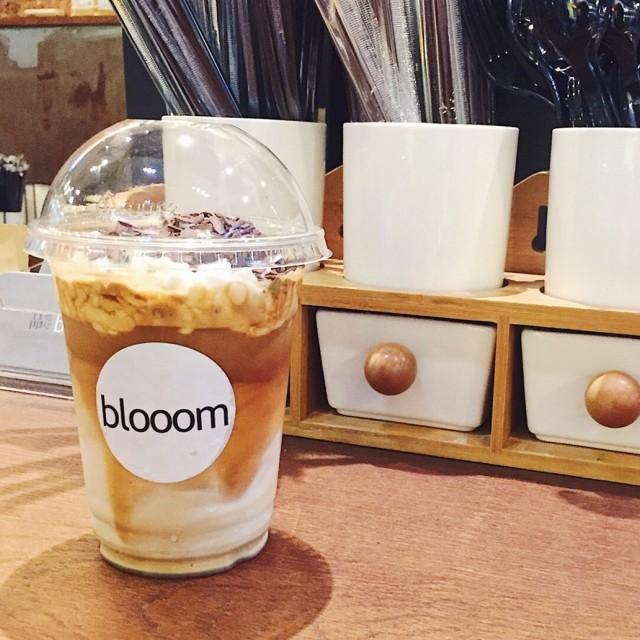 Blooom Cafe House | 澳门首家本地咖啡烘焙工作室 - 知乎