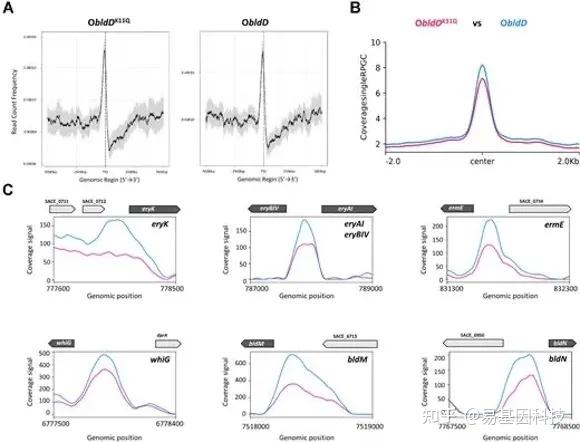 DNA与蛋白质互作及染色质开放性研究方案（ChIP-seq、CUT&Tag、ATAC-seq） - 知乎