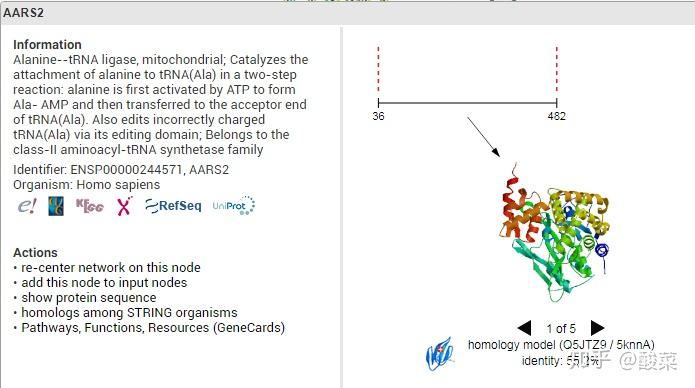 老司机带你解锁蛋白质互作网络分析 - 知乎