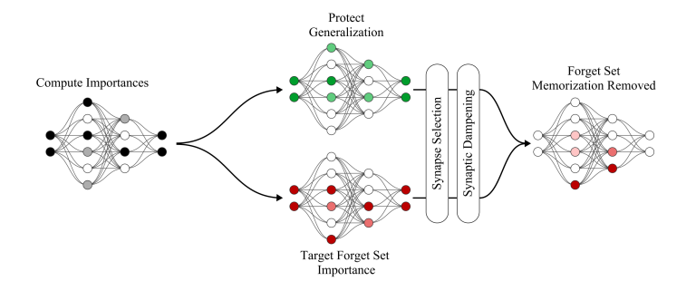 【机器遗忘之SSD算法】2024AAAI顶会论文：Fast machine unlearning without retraining through selective synaptic - 知乎