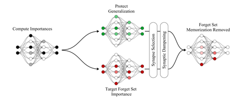 【机器遗忘之SSD算法】2024AAAI顶会论文：Fast machine unlearning without retraining through selective synaptic - 知乎