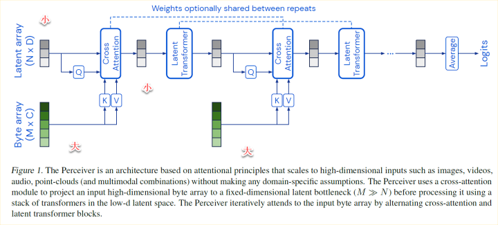 [细读经典+代码解析]Perceiver: General Perception with Iterative Attention - 知乎