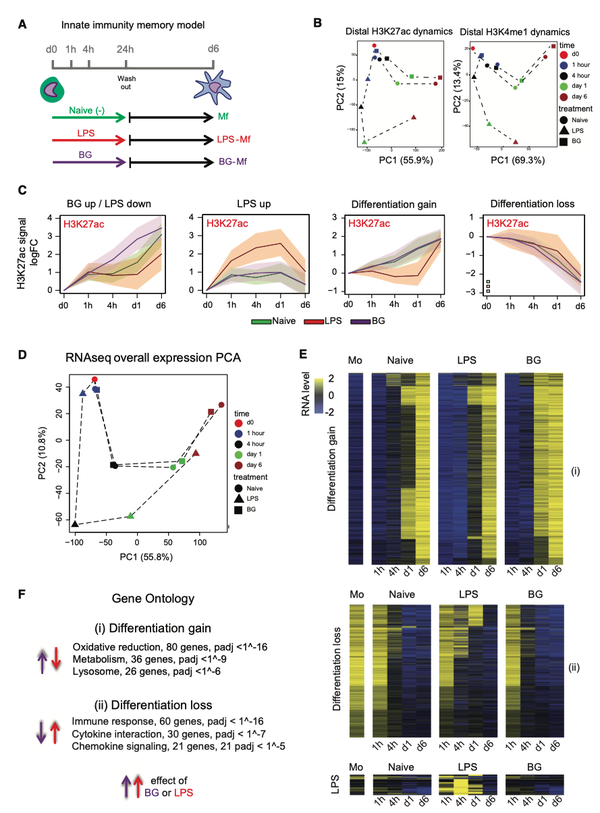 Cell丨β-葡聚糖逆转了LPS诱导的免疫耐受的表观遗传状态 - 知乎