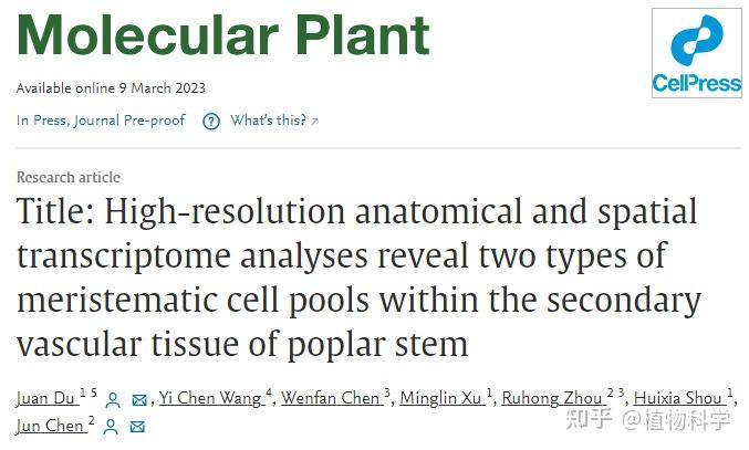 Mol Plant | 浙江大学生命科学学院杜娟课题组报道植物维管组织结构与发育研究领域新进展 - 知乎