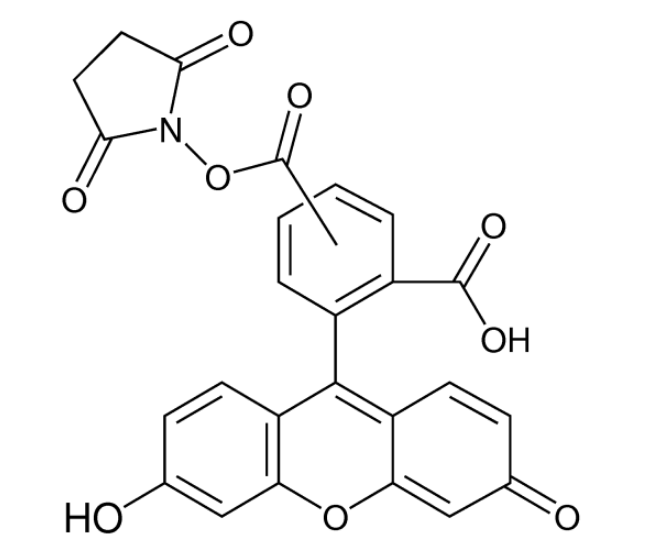 crown ether-PEG-5-FITC，5-FAM ，冠醚-聚乙二醇-5-羧基荧光素 - 知乎