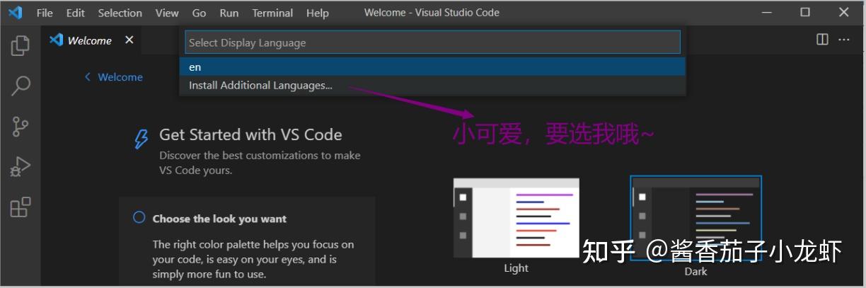 VSCode安装与汉化（超详细） - 知乎