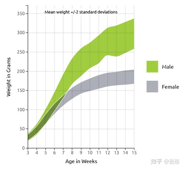 自发性高血压大鼠SHR Rats ·超全面详细资料 - 知乎