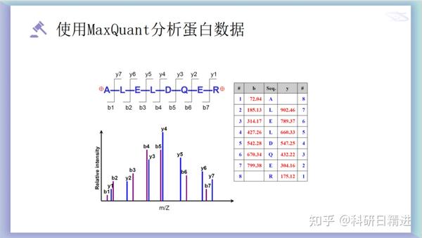 使用MaxQuant分析蛋白数据 - 知乎