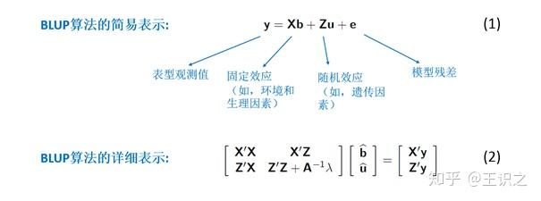 动物育种核心算法BLUP介绍（公式版） - 知乎