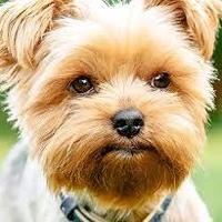 运筹优化求解器（CPLEX vs Gurobi vs ... ） - 知乎