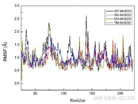 基于分子模拟对Mn-SOD稳定性的研究 - 知乎