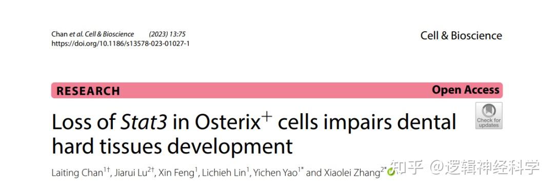 中山大学张晓磊团队通过培育转基因小鼠探索Stat3基因在间充质细胞分化发育为牙体硬组织过程中的作用及其可能的内在机制 - 知乎