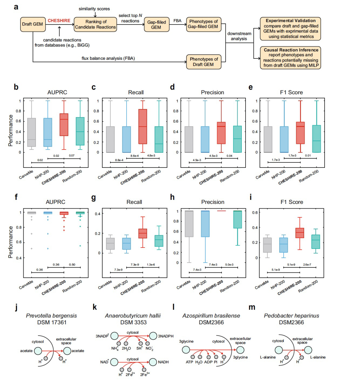 Nat. Commun. | 通过超图学习来推断基因组规模代谢网络中缺失的反应 - 知乎