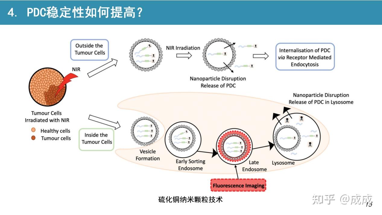文献专题解读| 多肽药物偶联物(Peptide-drug conjugates, PDCs)概述与未来发展方向【副标题：多肽作为癌症靶向治疗的 ...