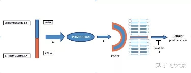 一文了解隆突性皮肤纤维肉瘤（DFSP) - 知乎
