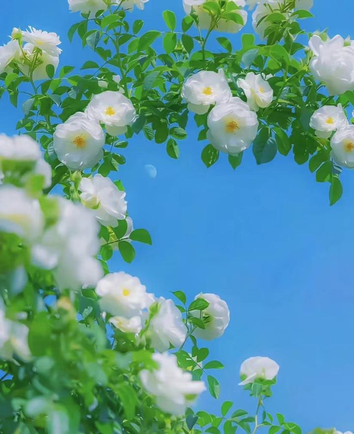 女人一生最大的悲哀是什么？ 知乎