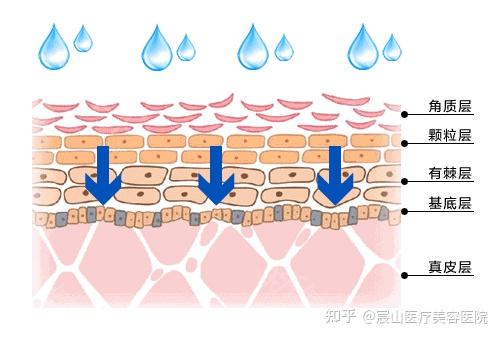 H Plastic 长效水光加持,肌肤焕活势在必行 知乎