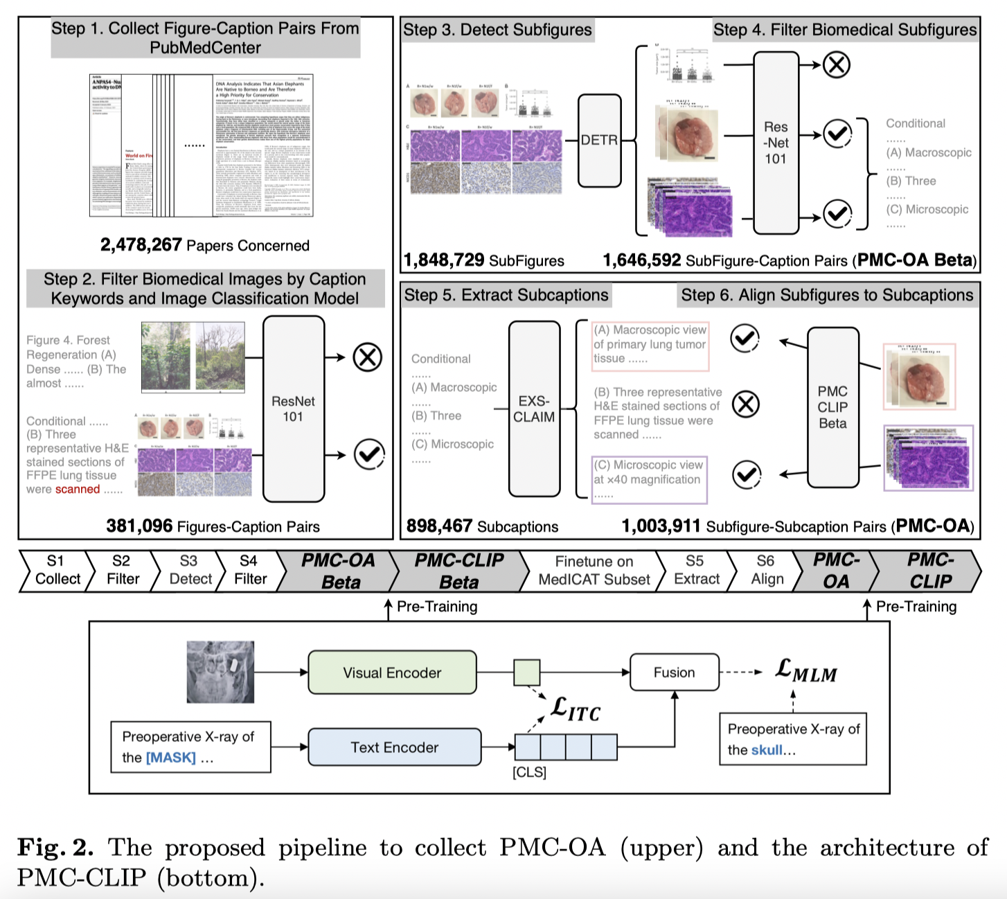 PMC-CLIP: Contrastive Language-Image Pre-training using Biomedical Documents - 知乎