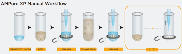 经典磁珠一文解读：AMPure XP纯化实用技巧 - 知乎