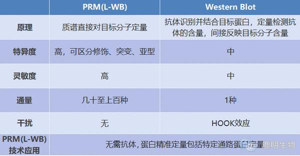 Anal. Chem. | 中科院叶明亮博士PRM技术靶向蛋白质组学分析蛋白复合物蛋白质磷酸化修饰 - 知乎