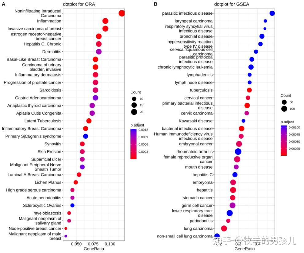 R语言ggplot2画气泡图展示富集分析的结果 - 知乎
