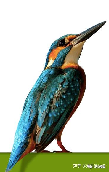 什么是RC认证？RC认证能给企业带来哪些好处 - 知乎