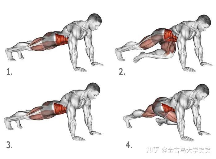 30张腹肌训练图谱告诉你,腹肌各部位怎么练 知乎