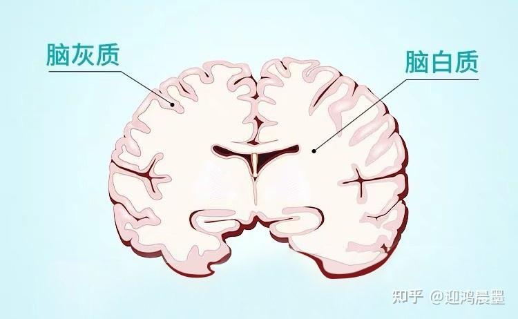 用inne全脑DHA高质量养娃，inne的狂热粉从此又多了一位 - 知乎