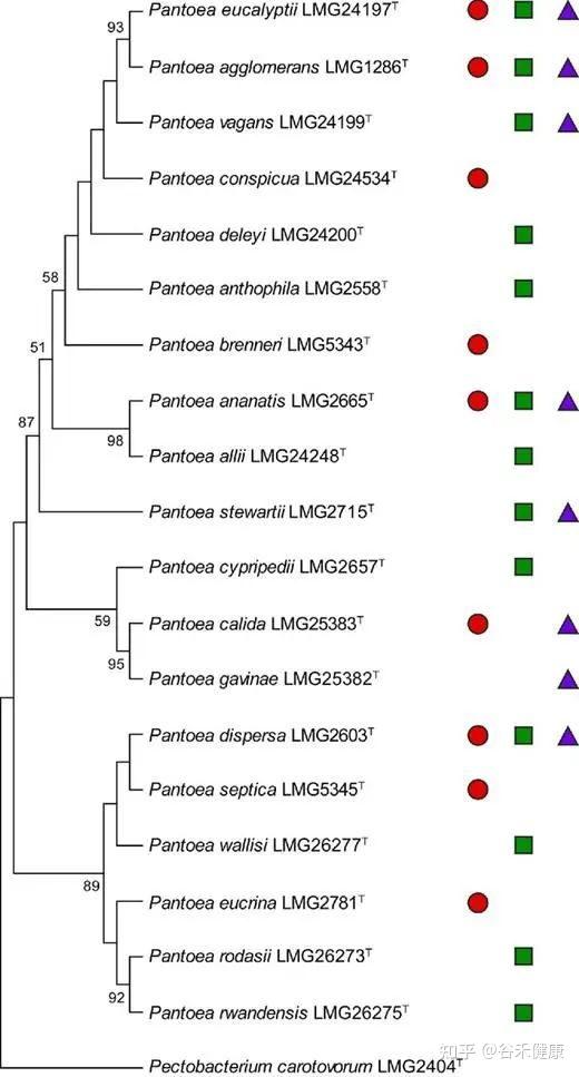 Pantoea(泛菌属)——肠道内善恶兼备的神秘细菌 - 知乎