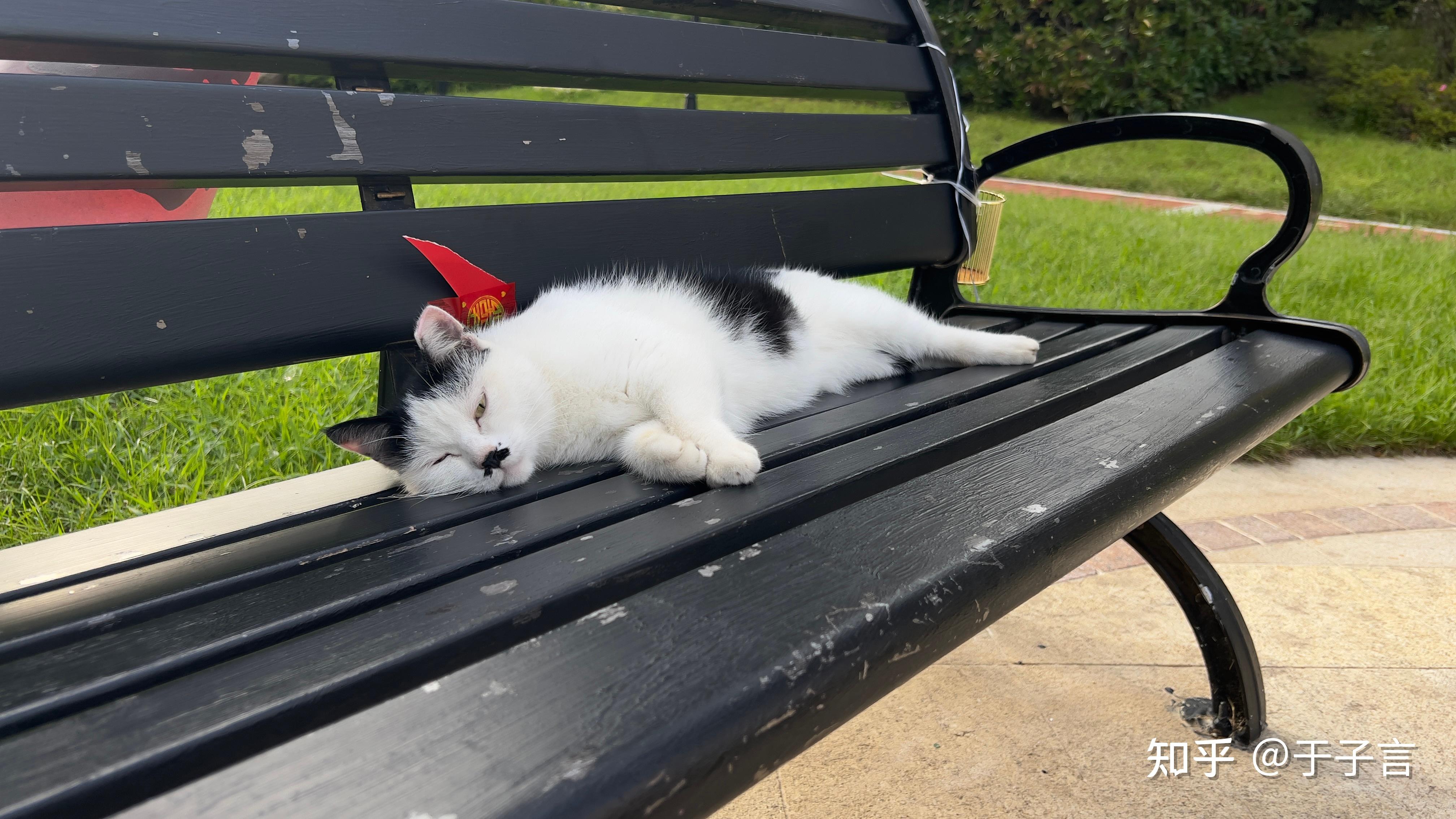 你能讲述一个NPD的故事对标NPD的特征吗？ - 知乎