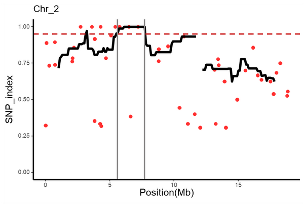 R绘图|染色体SNP指数图绘制 - 知乎