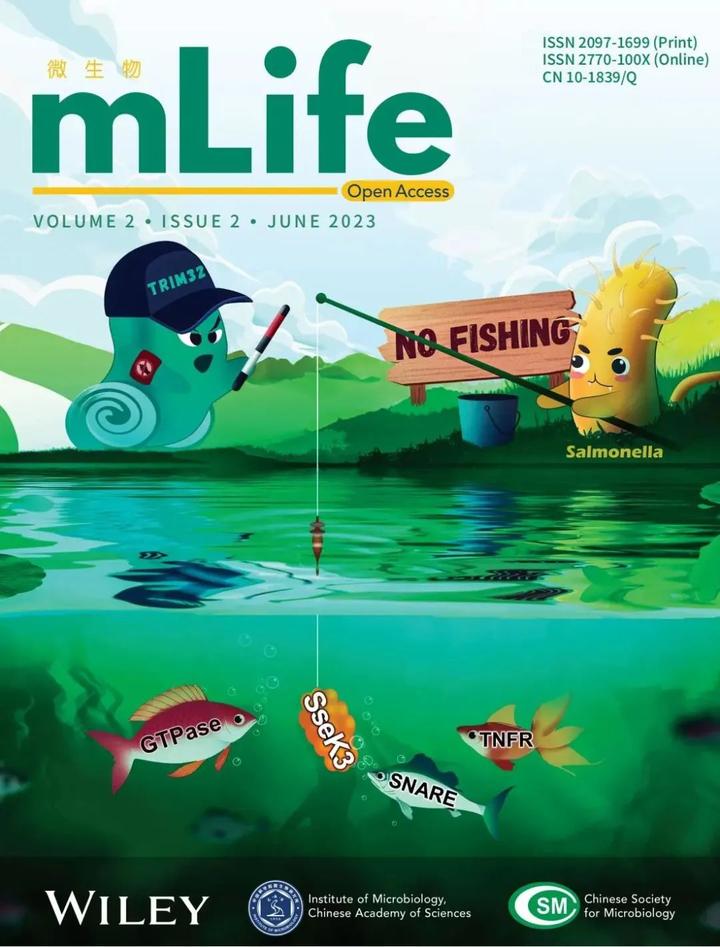 砥志研思，精进不休！mLife第二卷第二期正式出版 - 知乎