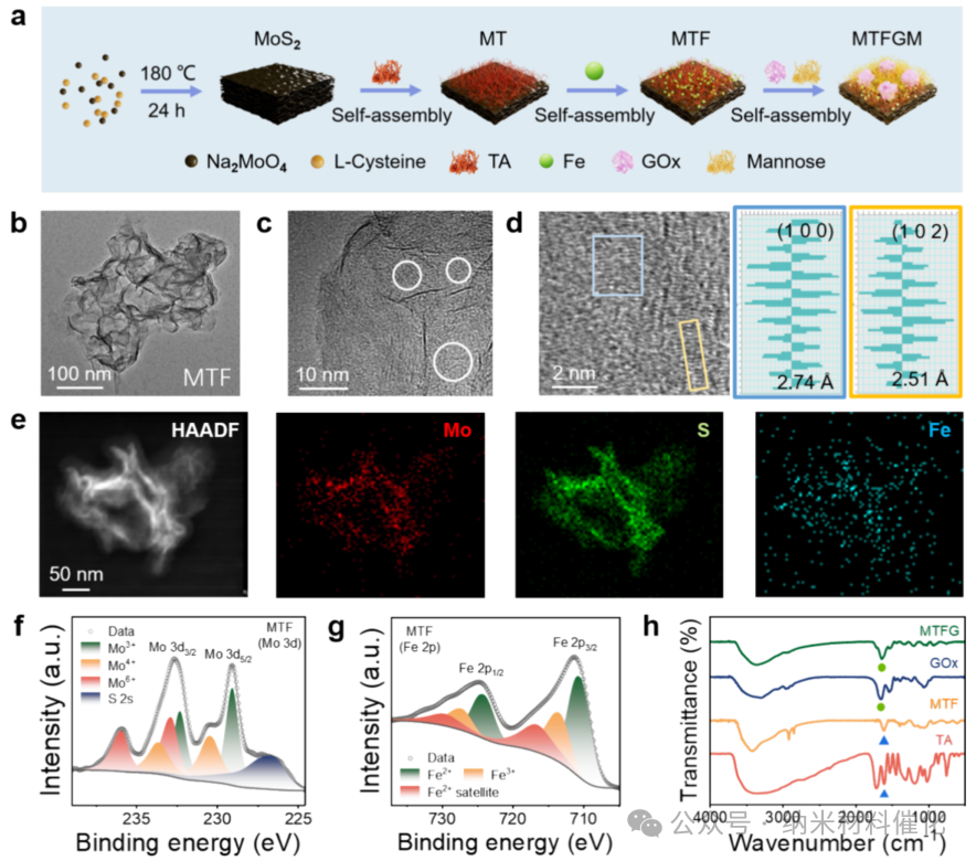【ACS Nano】自组装受限空间钼基纳米反应器用于自级联催化驱动的多机制肿瘤治疗-首都师范大学 - 知乎