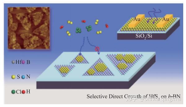 光电综述11 ：基于二维半导体材料光电器件的研究进展（特邀） - 知乎