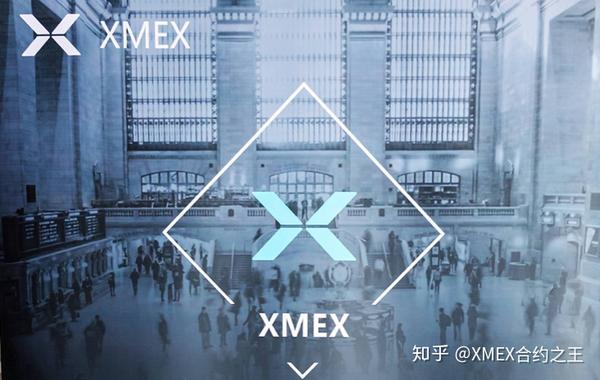 合约黑马XMEX 为何被称为 “合约之王”？ - 知乎