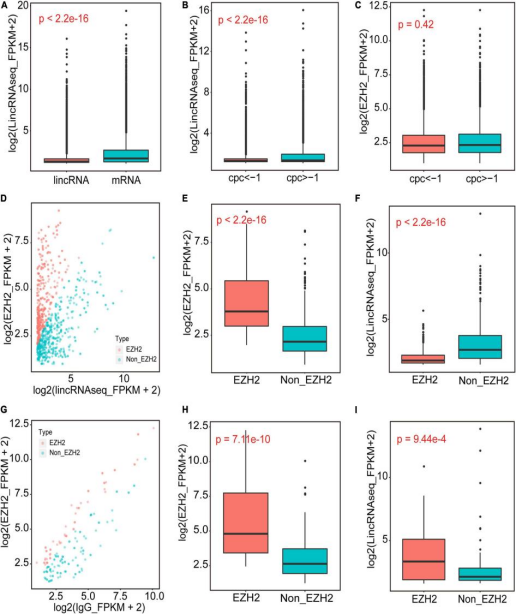 RNA结合蛋白研究技术：RIP-seq实验分析流程及案例分享 - 知乎